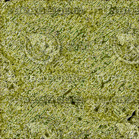 Texture JPEG Bug Bug skin