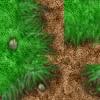 Texture Windows Bitmap grass dirt transition