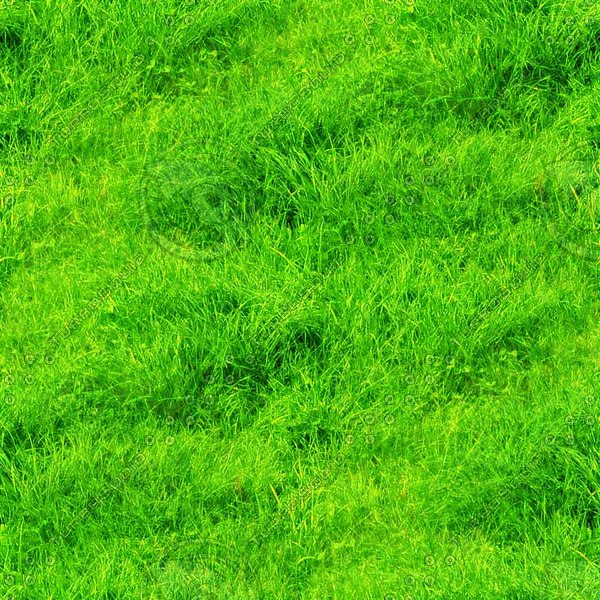 Texture JPEG grass herbage lawn
