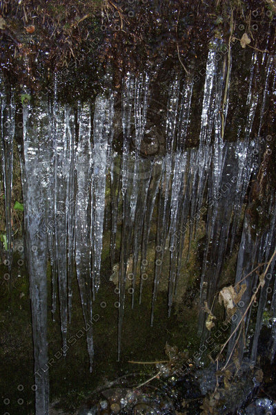 Stock JPEG Ice cicles