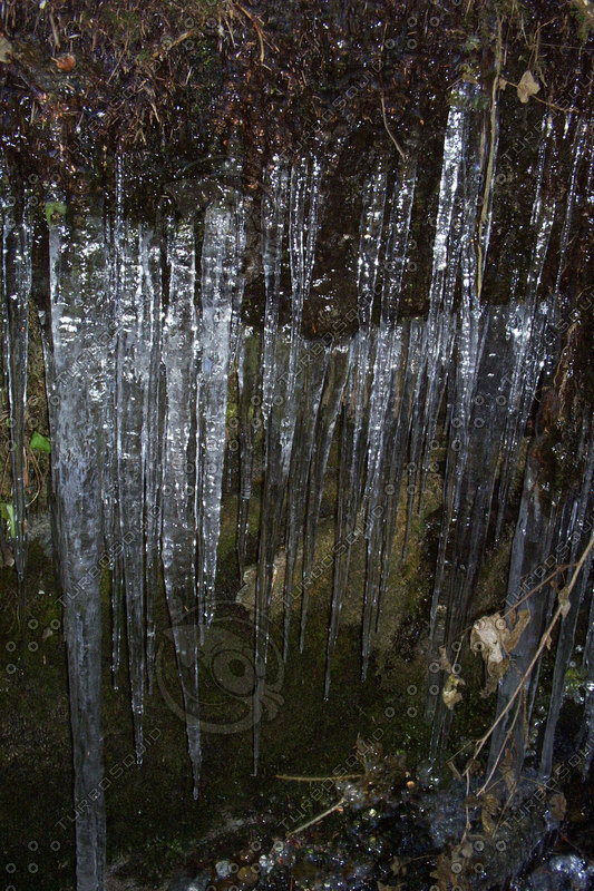 Stock JPEG Ice cicles