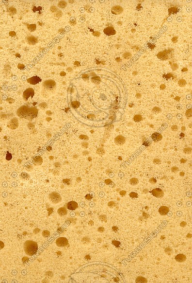 Texture GIF sponge