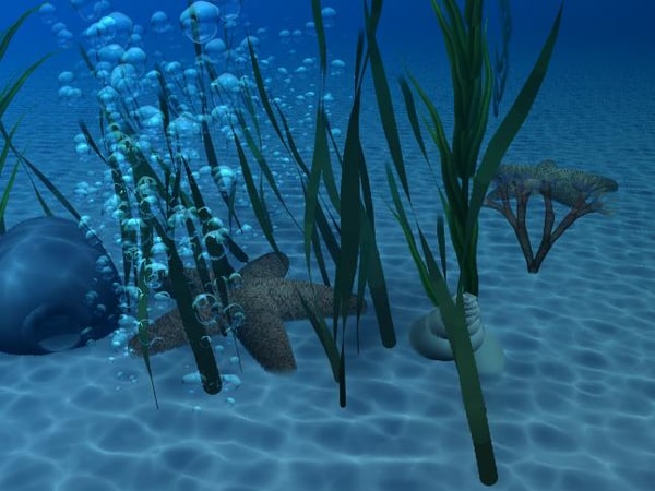 Texture Maya Arash 3d