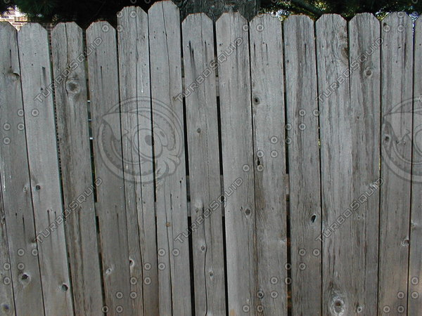 Texture JPEG wood endgrain edge