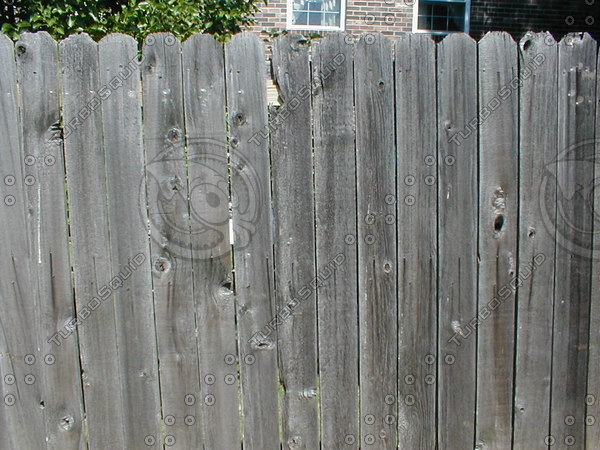 Texture JPEG wood endgrain edge