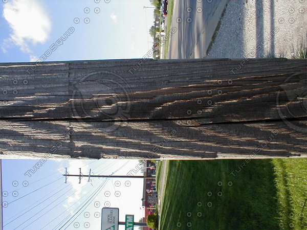 Texture JPEG wood endgrain edge