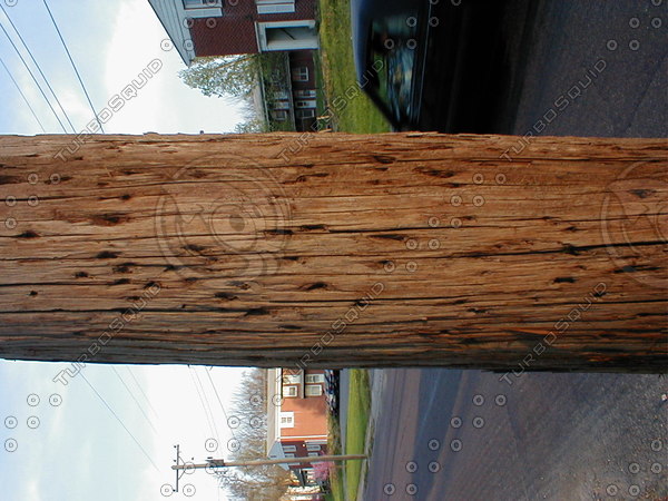 Texture JPEG wood pole endgrain