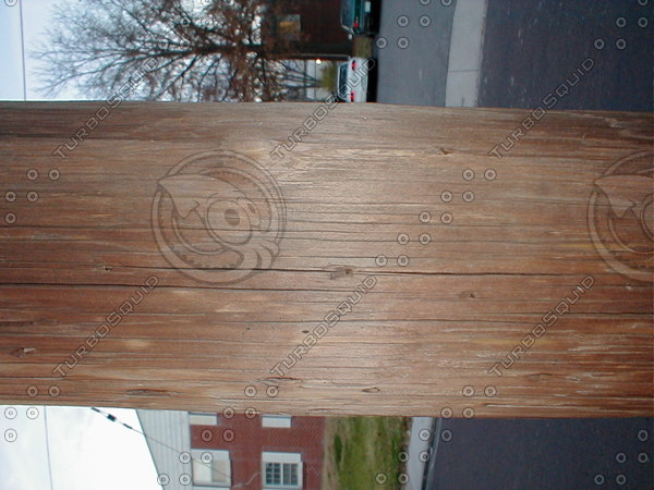 Texture JPEG wood endgrain edge