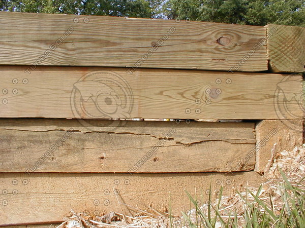 Texture JPEG wood endgrain edge