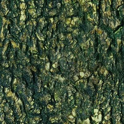 Texture Windows Bitmap wood tiles tree