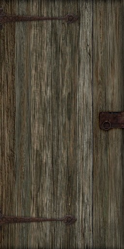 Texture JPEG wood door rustic