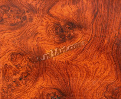 Stock JPEG Burlwood burl wood