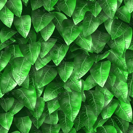 Texture JPEG leaf leafy seamless