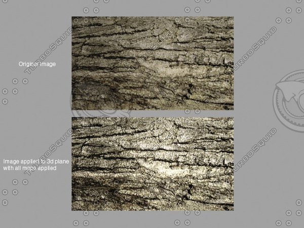 Texture Photoshop bark tree wood