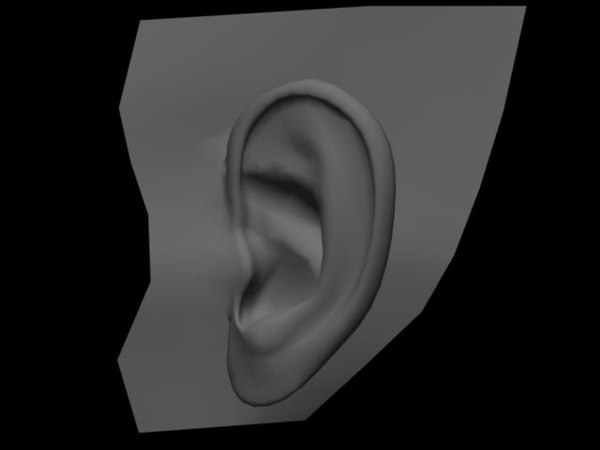 Texture Maya Ear human detailed