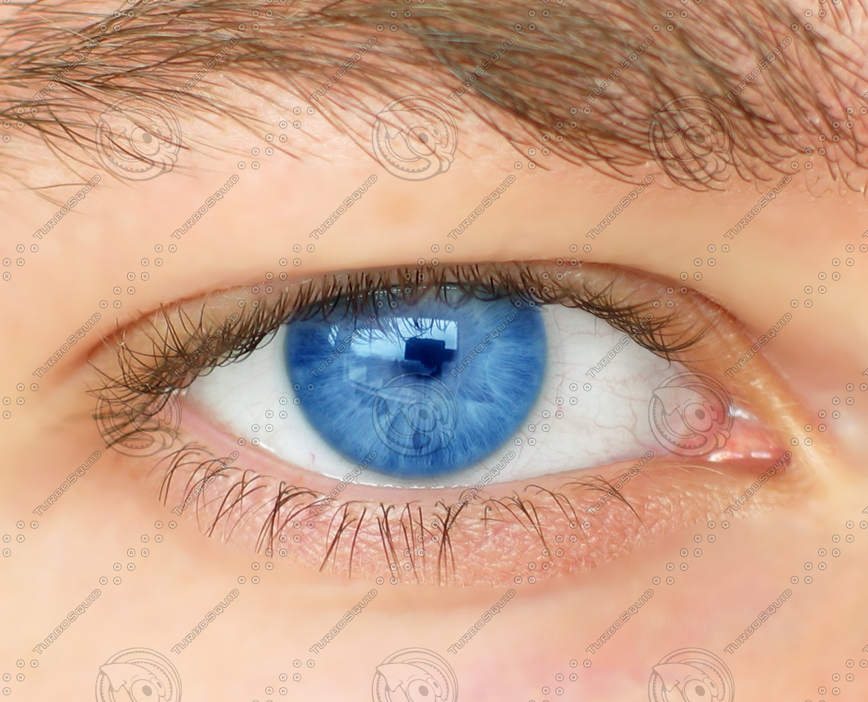 Stock Photoshop eye ball see