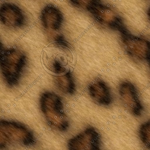 Texture Windows Bitmap leopard fur soft