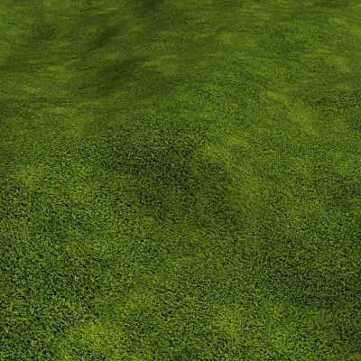 Texture JPEG grass plants maps