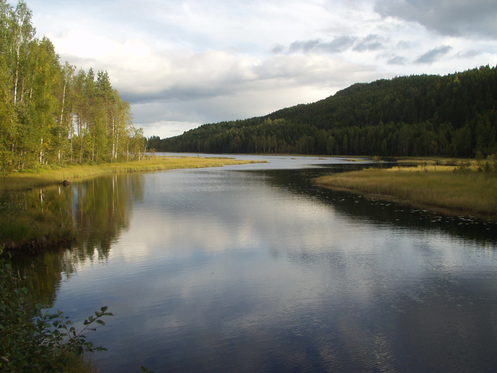 Stock JPEG river sweden forest
