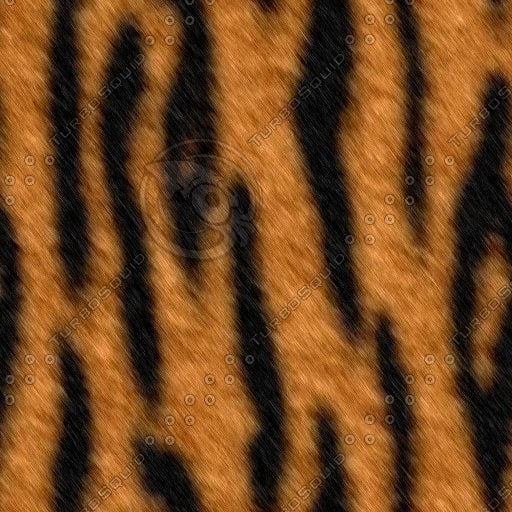 Texture Windows Bitmap tiger fur animal