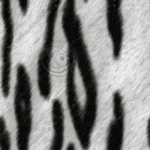 Texture Windows Bitmap white tiger siberian