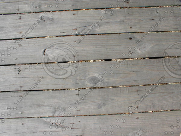 Texture JPEG wood endgrain edge