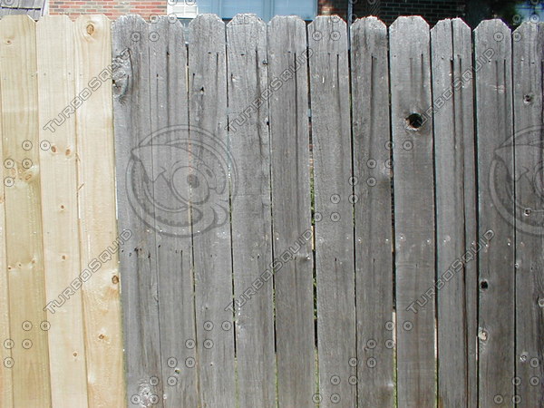 Texture JPEG wood endgrain edge