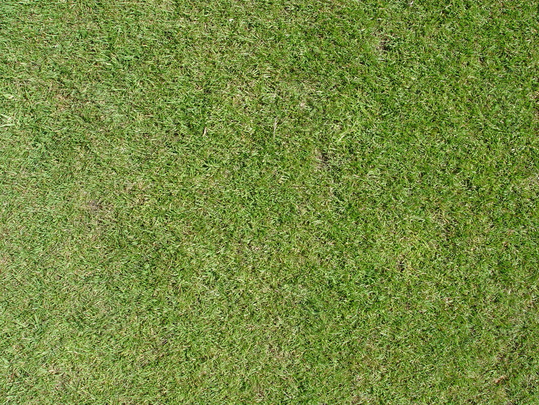 Texture JPEG ground floor grass