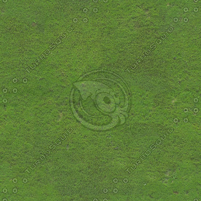 Texture Targa grass high resolution