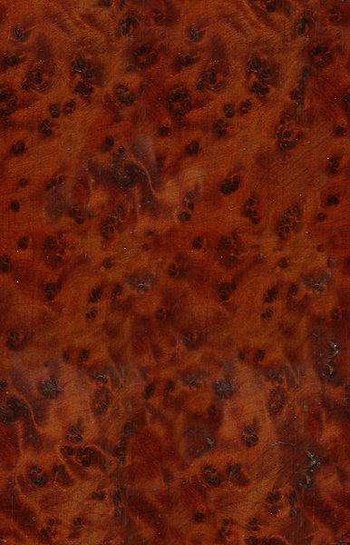 Texture JPEG Burr walnut elm