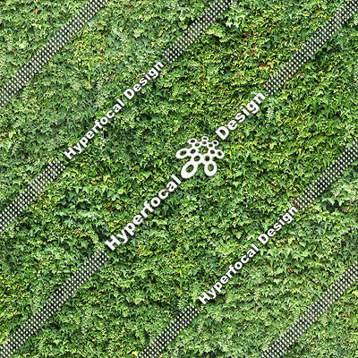 Texture JPEG HFD ivy Hyperfocal