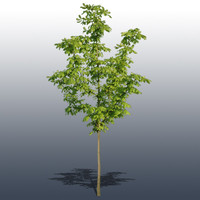 Free Texture Maps, Download Free Texture Maps at TurboSquid