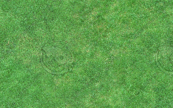 Texture JPEG grass green garden