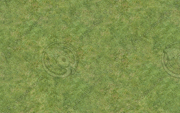Texture JPEG grass green garden