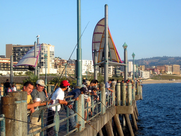 Stock JPEG Redondo Beach fish