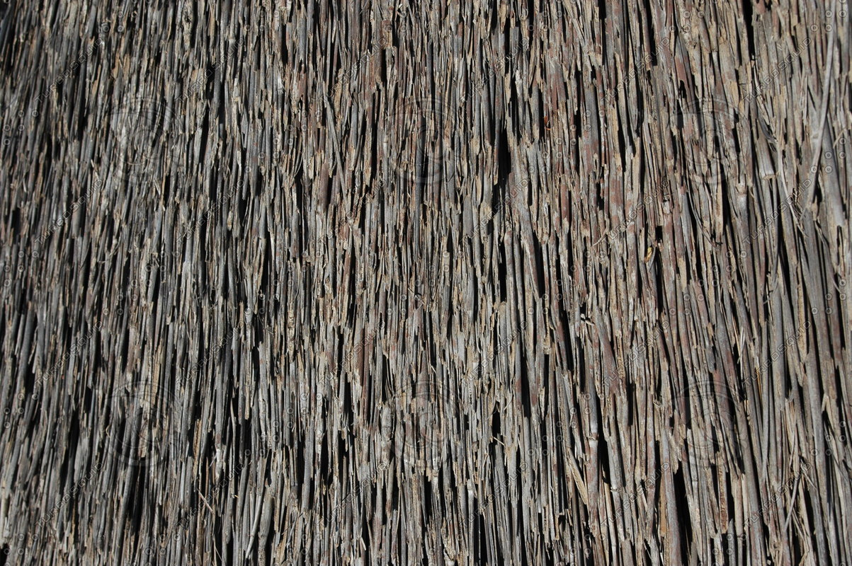 Texture Other grass thatch roof