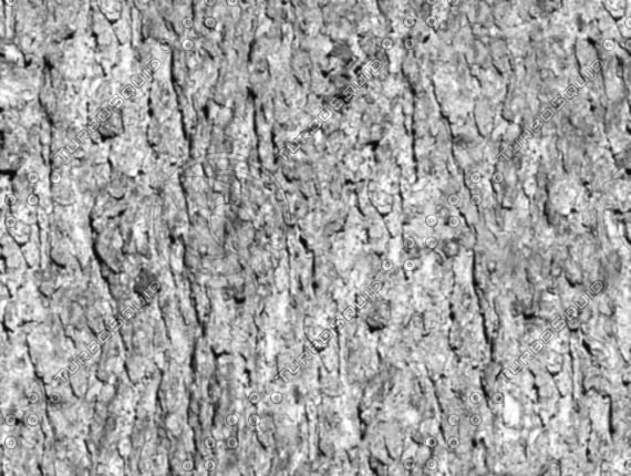 Texture JPEG bump bark 3d