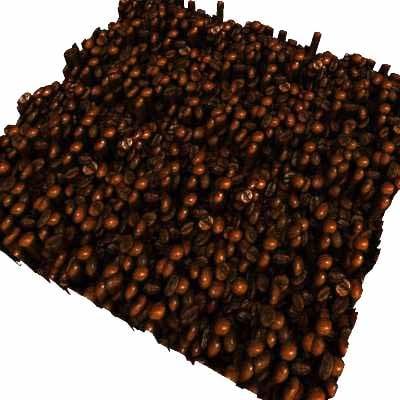 Texture Photoshop tile coffee bean