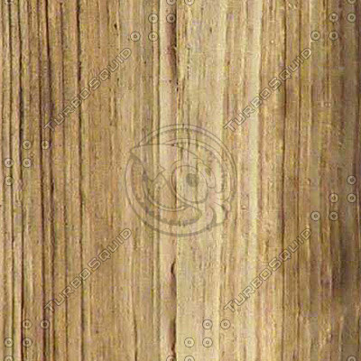 Texture TIFF book parchment paper