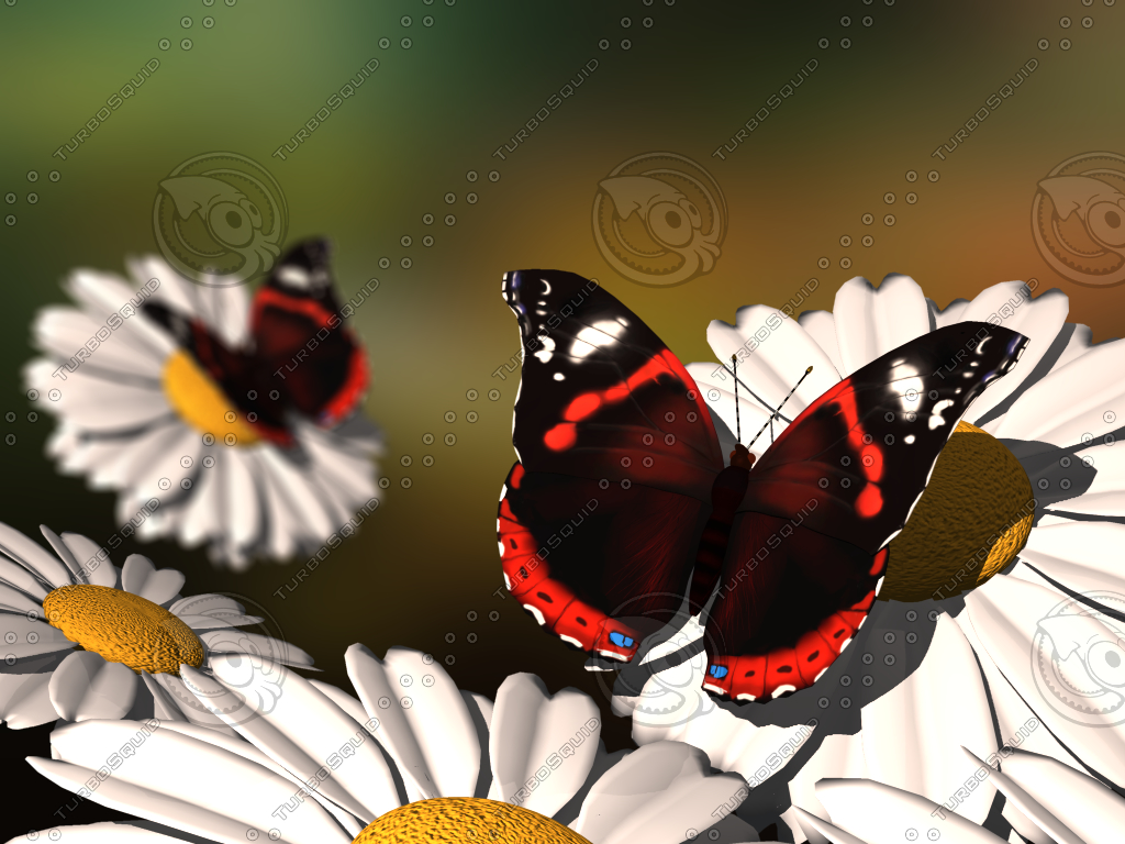 General Windows Bitmap butterfly flower nature