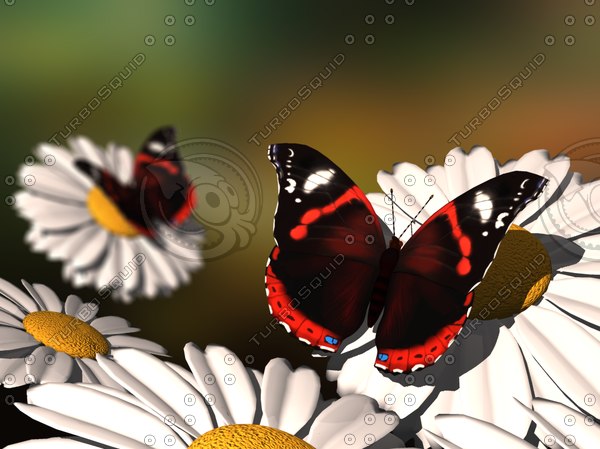 General Windows Bitmap butterfly flower nature