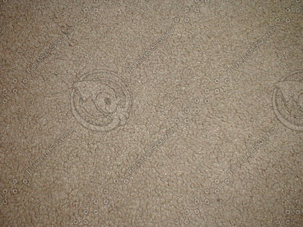 Texture JPEG carpet rug dirt