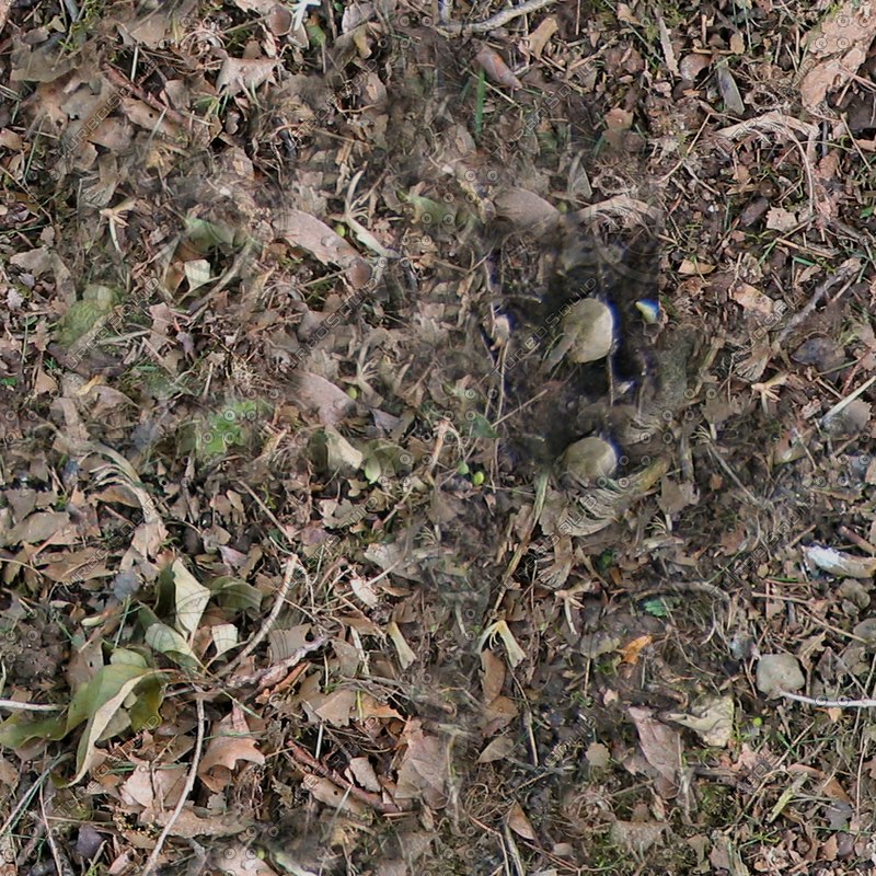 Texture Windows Bitmap dirt jsh3d ground