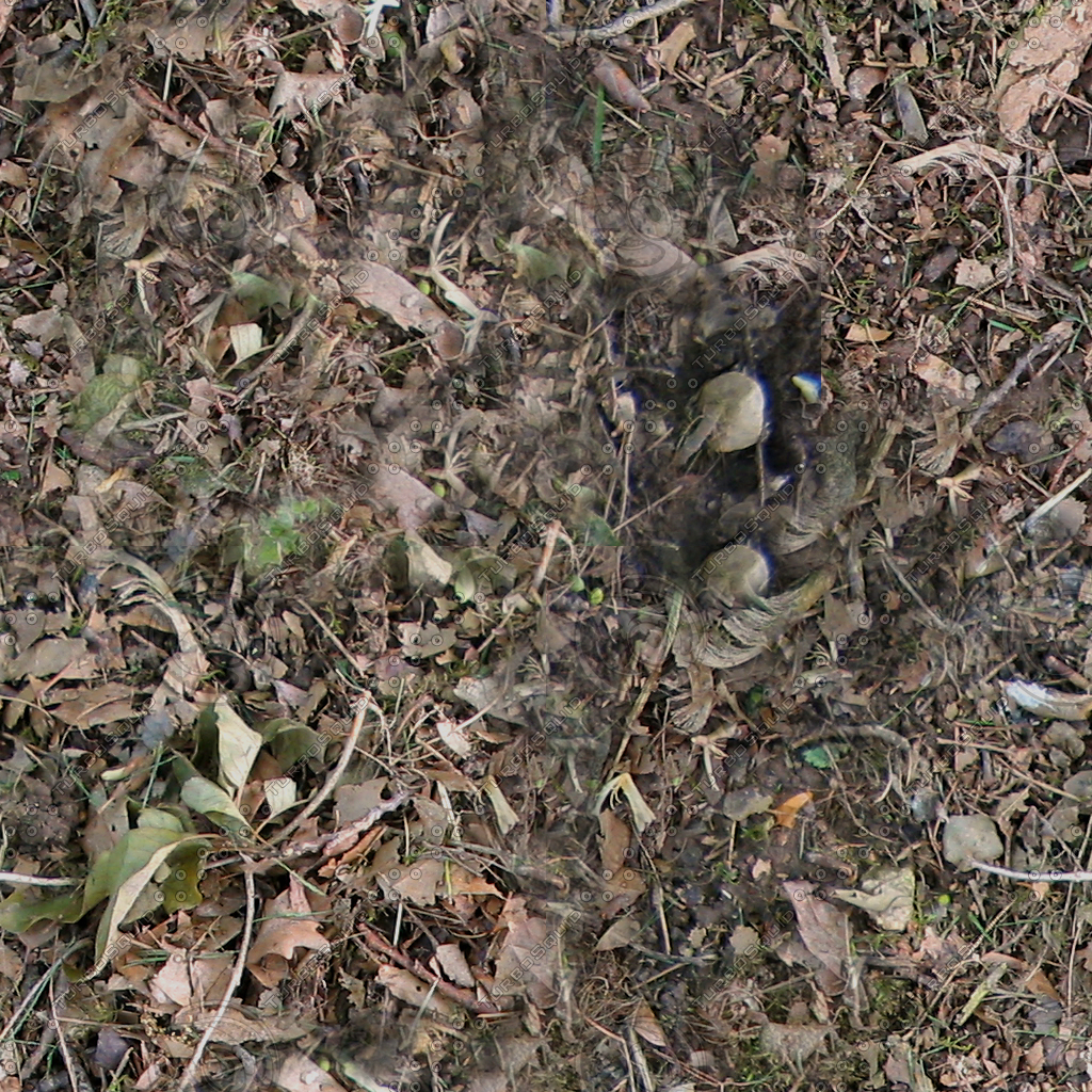 Texture Windows Bitmap dirt jsh3d ground