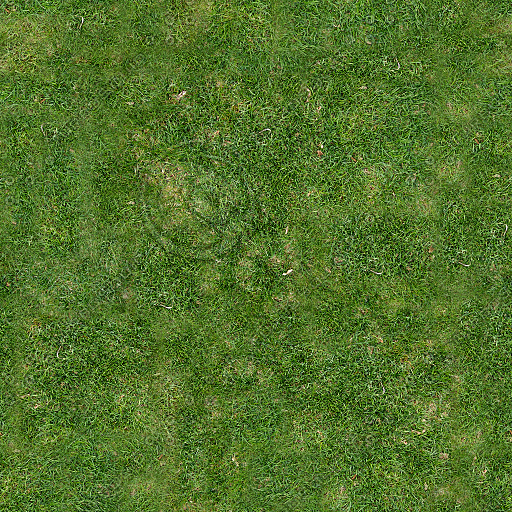 Texture Windows Bitmap grass 1024x bmp