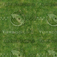 Texture Windows Bitmap grass 1024x big