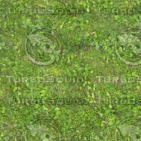 Texture Windows Bitmap grass 1024x bmp