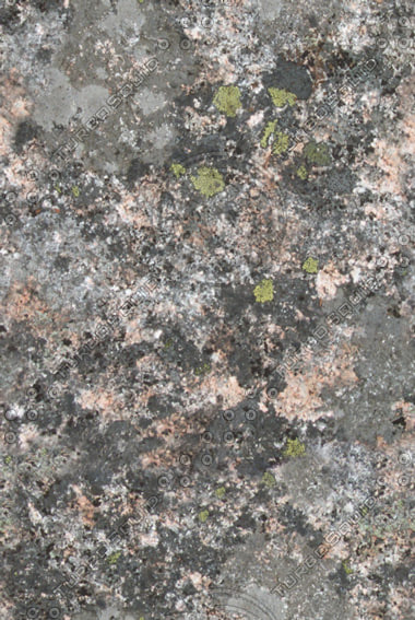 Texture JPEG lichen 3d studio