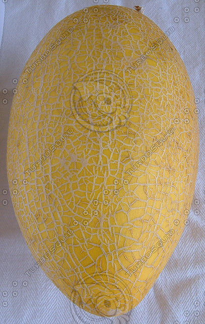 Texture JPEG melon sweet fruit
