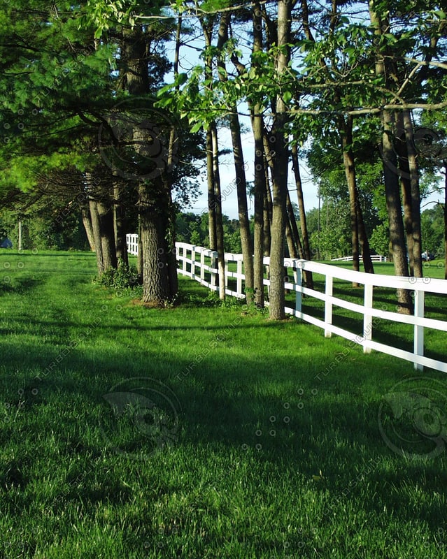 Stock JPEG trees farm sky